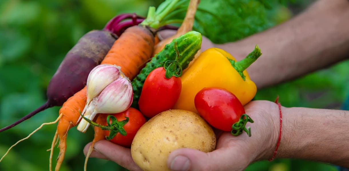 Portfolio Details - LPTC